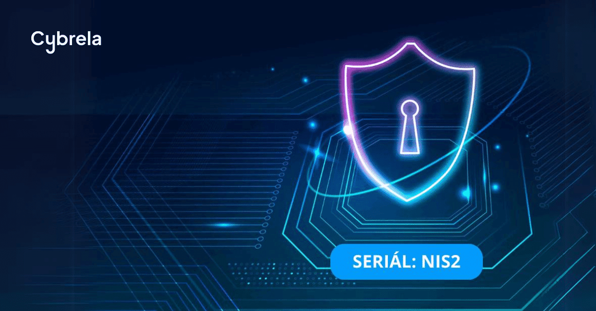 NIS2: Security roles and their roll-out according to the new Cyber ...